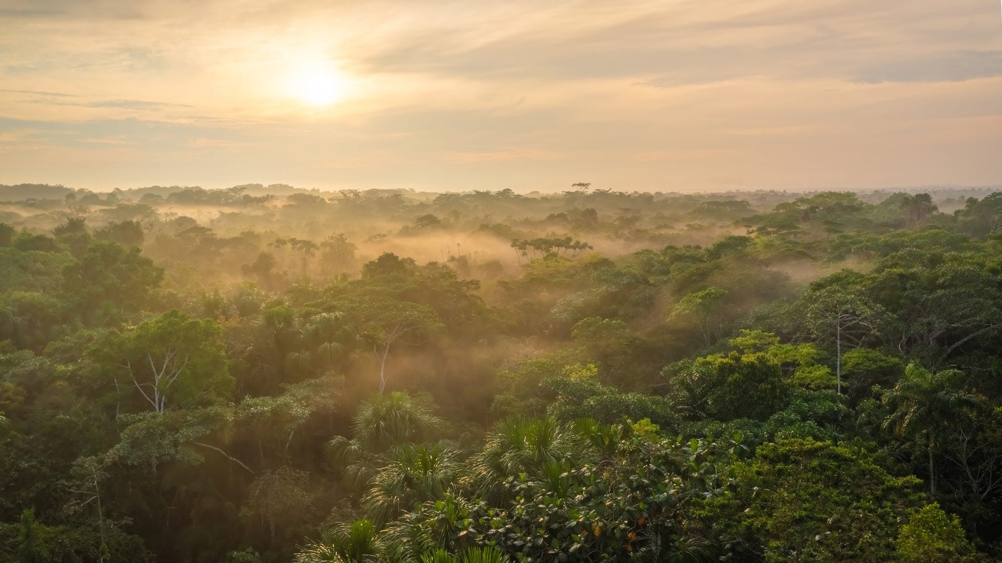 More About The Temple And Our Incredible Team Of Healers