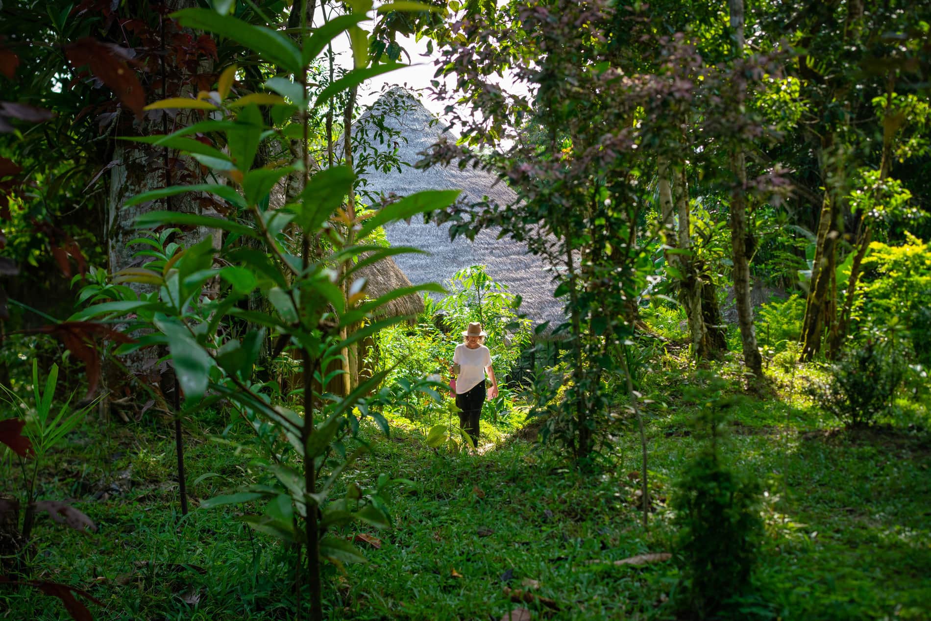 The Temple Of The Way Of Light | Frequently Asked Questions