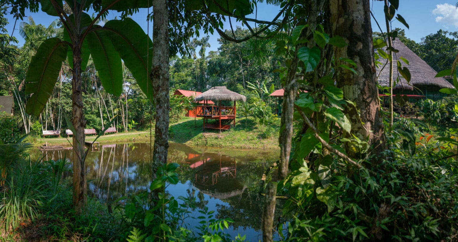 Gallery | Temple Of The Way Of Light