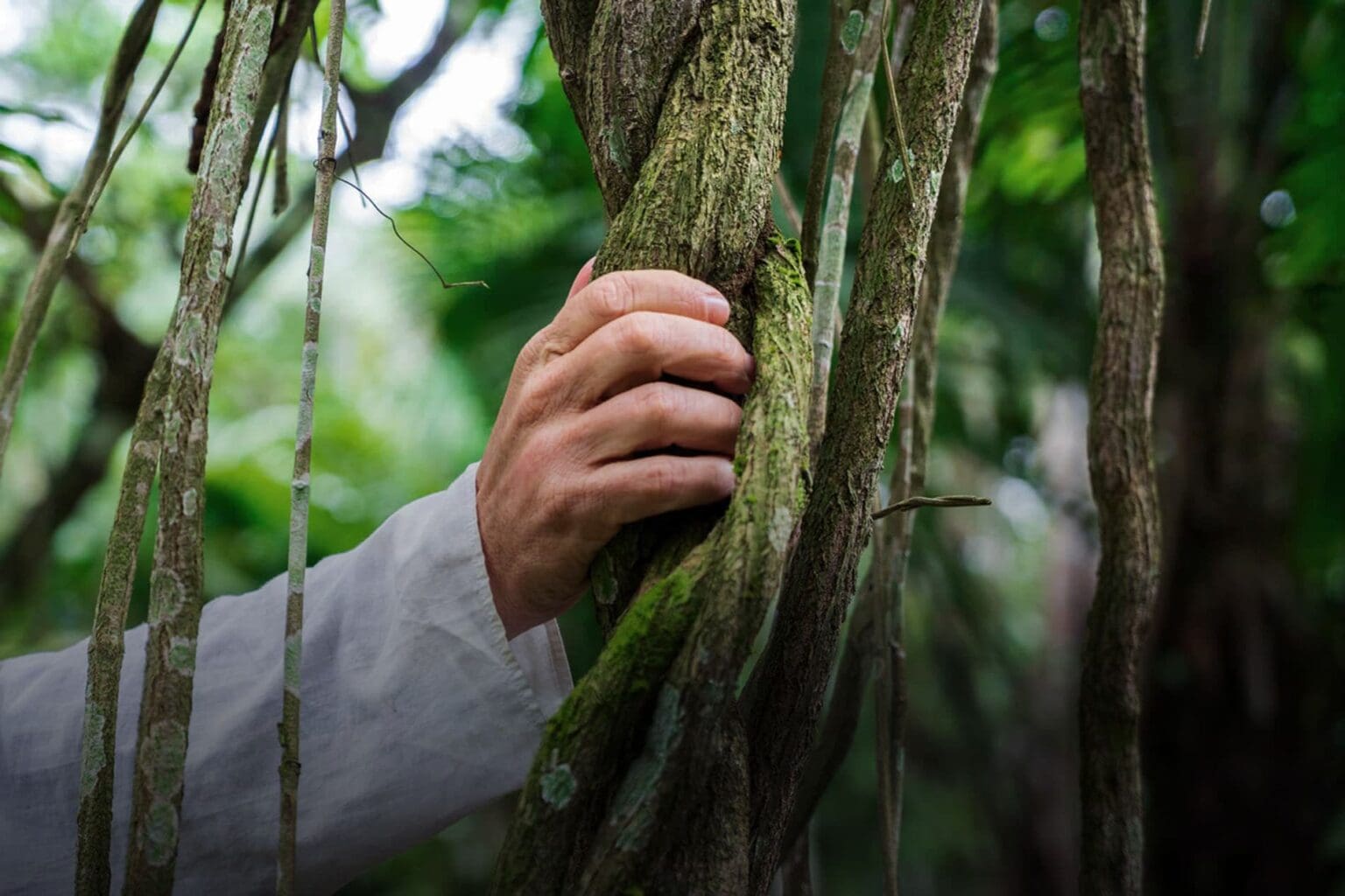 Ayahuasca Retreats: Safe, Authentic Healing In The Amazon